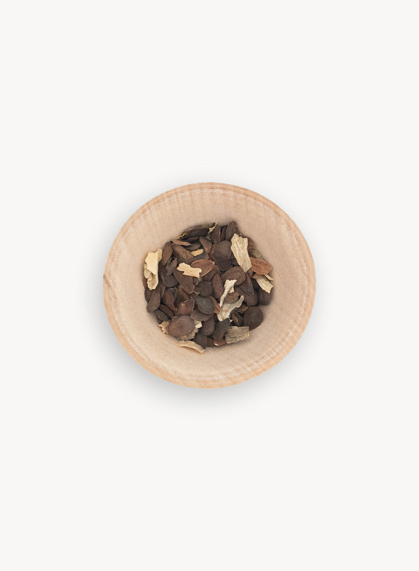 Seeds – Theodore Payne Foundation