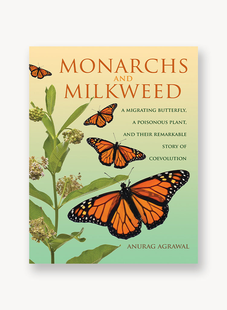 Monarchs and Milkweed book – Theodore Payne Foundation