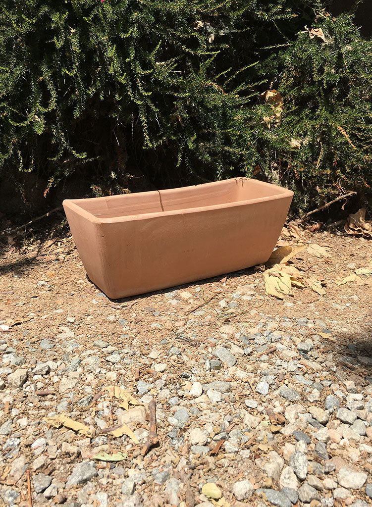 Pot - Tapered Window Box Terracotta – Theodore Payne Foundation