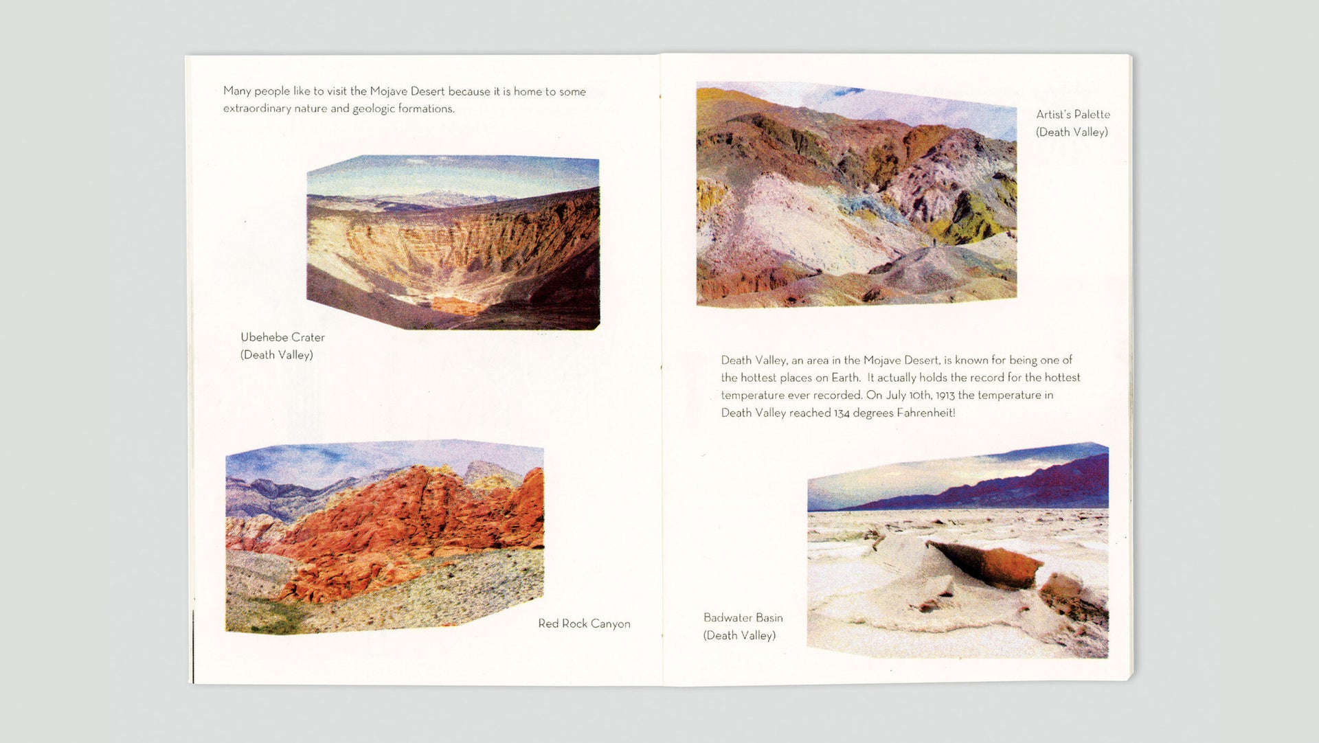 Activity Books – Theodore Payne Foundation