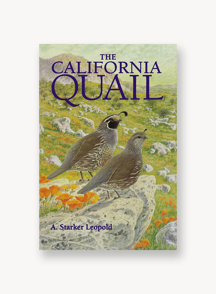 The California Quail – Theodore Payne Foundation